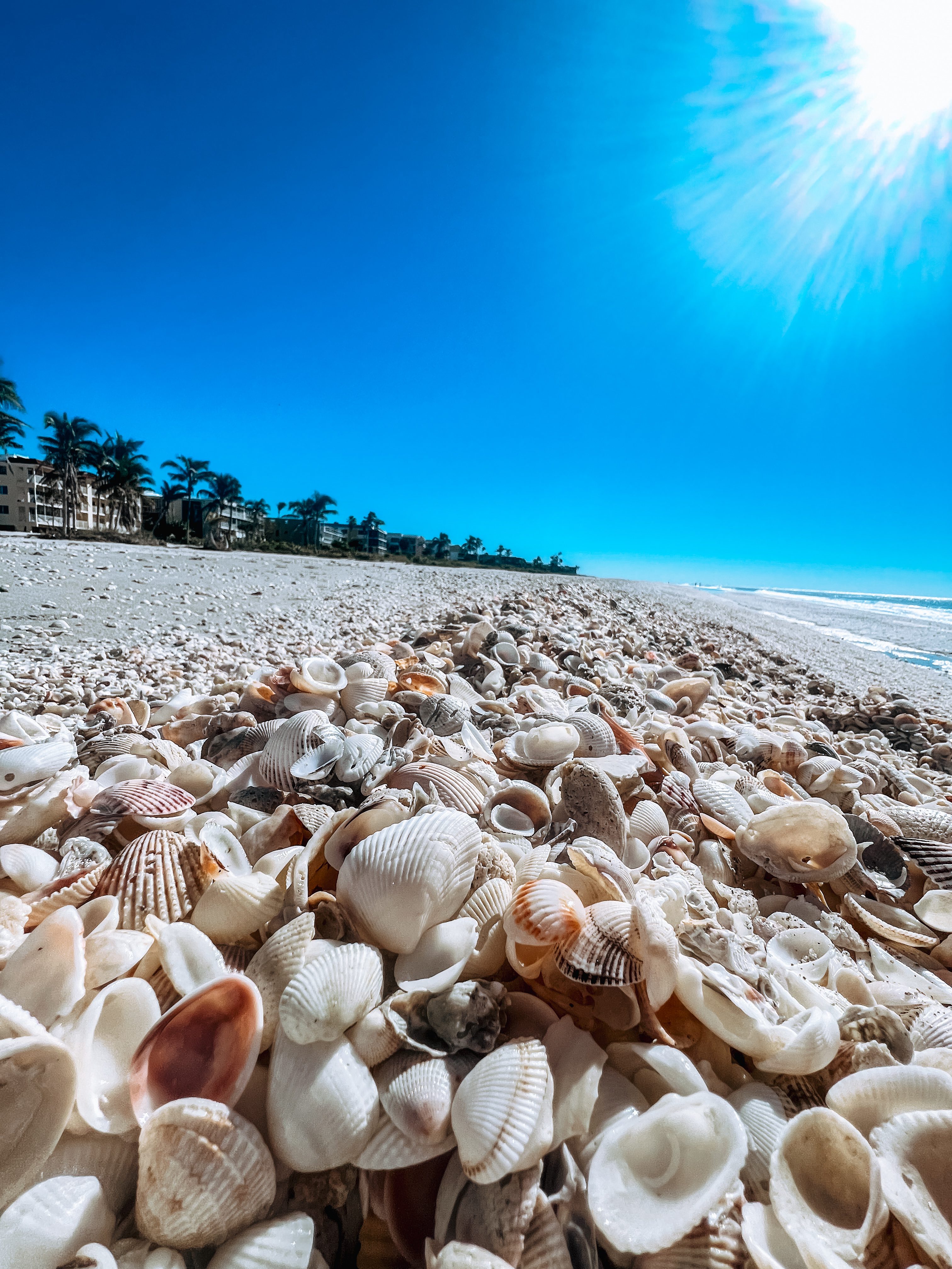 Beaches to visit while staying in Cape Coral, Florida - LindsayLola